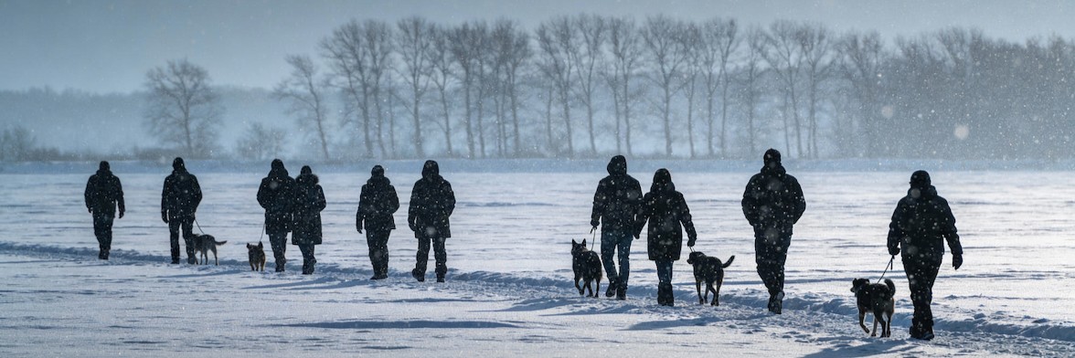 Winter Walk 2026